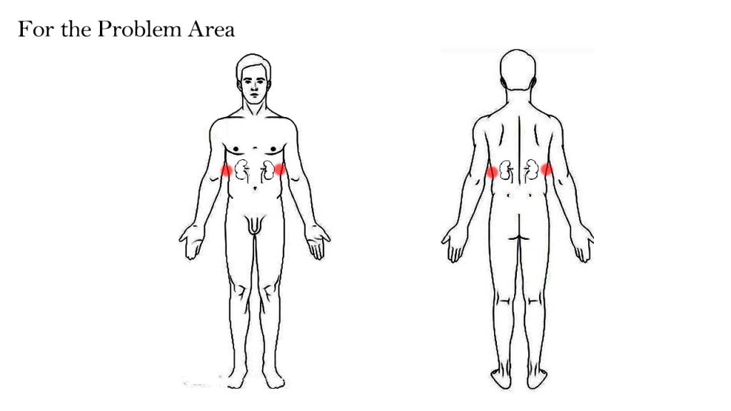 Q&A of Bradley Johnson Spooky2 FAQs Training Courses – Spooky2 Academy